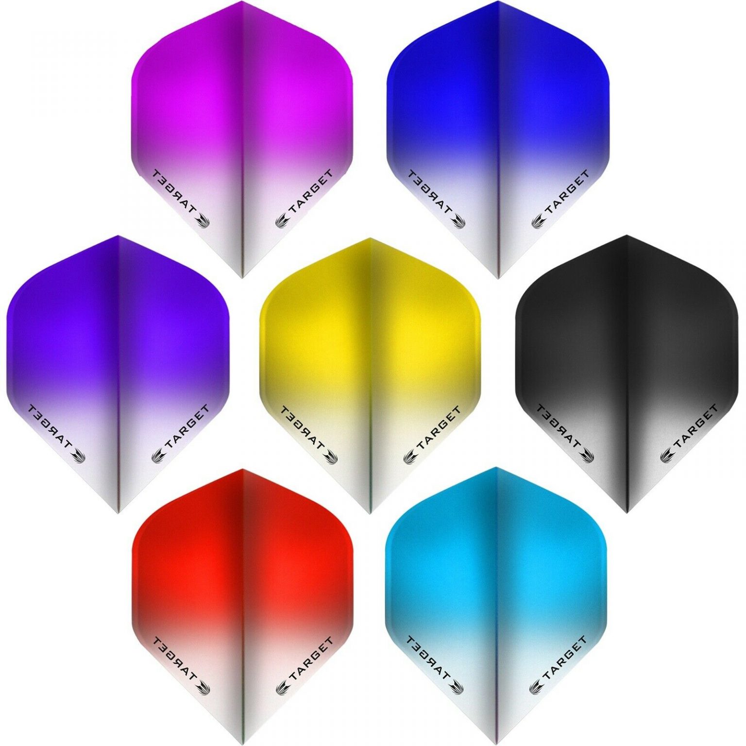 TARGET VISION PRO 100 NO2 BAGGED FLIGHTS - SportzTrack